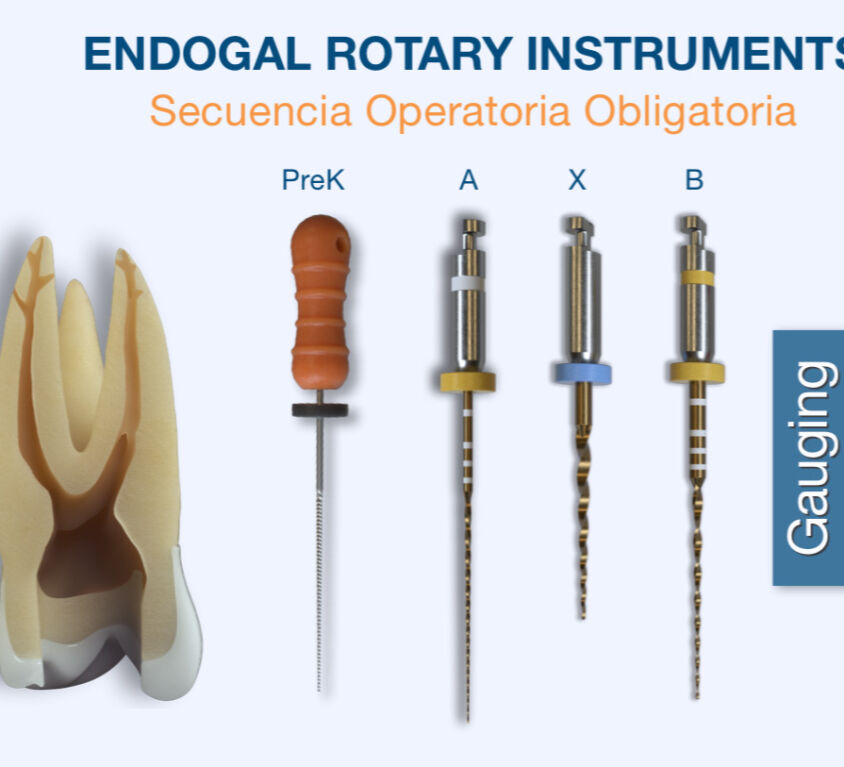 Endogal - Empresa Española de Endodoncia